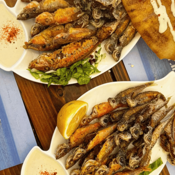 Top Things to Do in Anfeh Lebanon | PlacetoBeirut