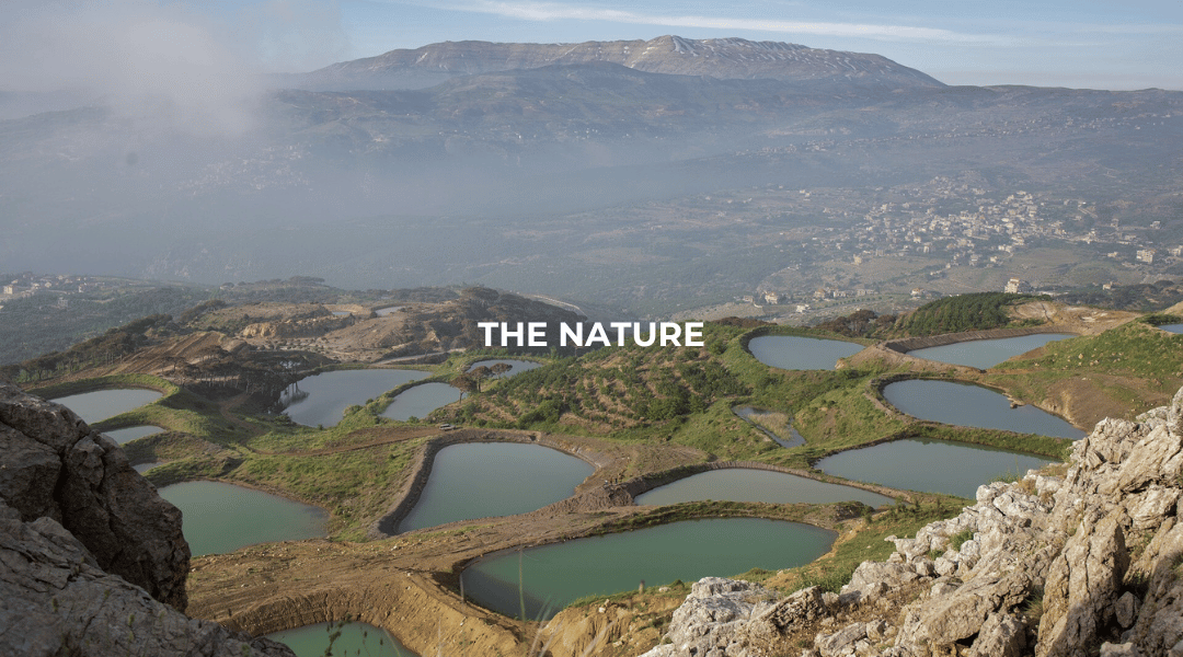 12 Reasons Why We Love Lebanon | PlacetoBeirut